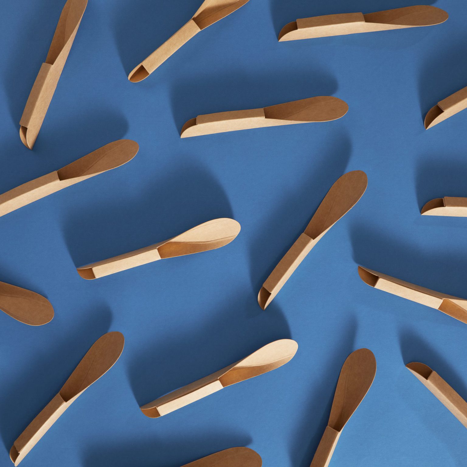 We launched the first biodegradable cardboard spoon on the market ...